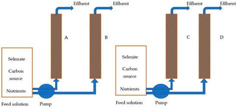 Ishani Kulasekara Ph D On Linkedin Microbial Enhancement Of Selenium Removal In Chemically