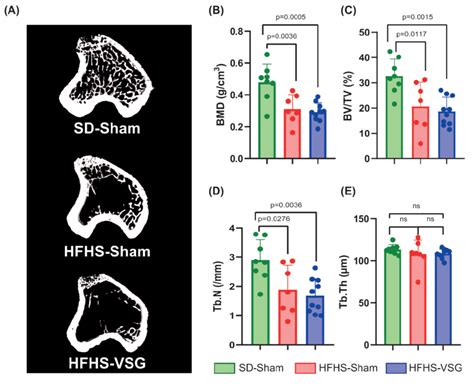 Ex Vivo Assessment Of Trabecular Bone Mass And Microarchitecture At The