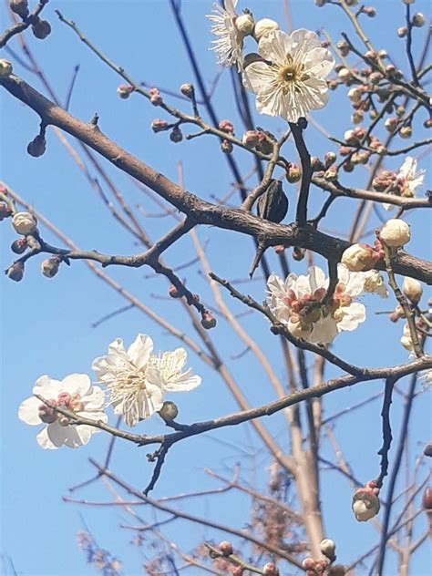 글라스틴트의 럭셔리luxury 이 구역의 주인공은 나야 나 레이니블루 신차g90의 콧대 높은 선택 네이버 블로그