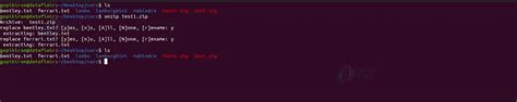 Unzip Command In Linux DataFlair