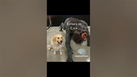 programming memes📝🧑‍💻 coding youtubeshorts ytshort webdevelopment