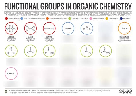 functional groups diagram quizlet
