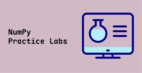 NumPy Practice Labs Master Data Science With Hands On Exercises LabEx
