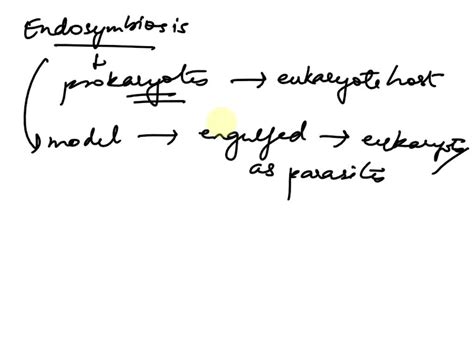 Endosymbiosis Is The Internalization Of One Species By A Host Species