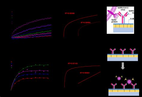 Detection Of Sars Cov 2 Pseudovirus With Nanoplasmonic Sensor Chip By A