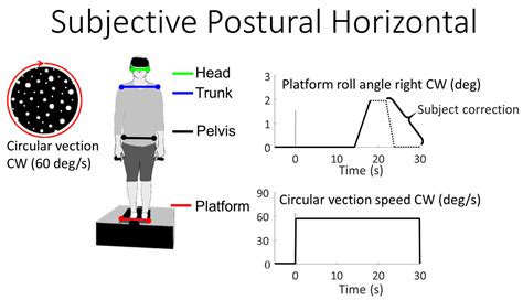 The Effect Of Roll Circular Vection On Roll Tilt Postural Responses And Roll Subjective Postural