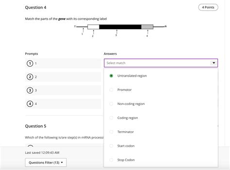 solved question 4 4 points match the parts of the gene with its