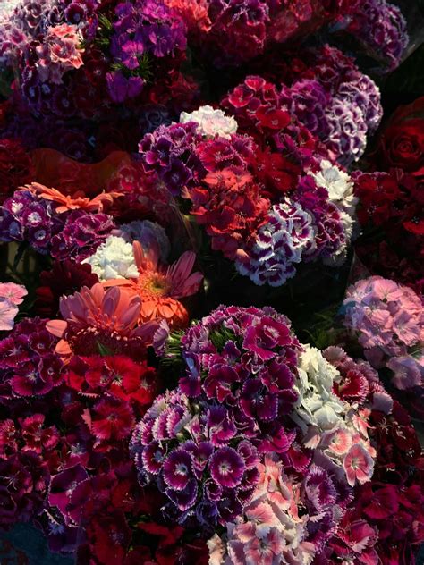 30 Flower Markets Around The World That Flower Lovers Should Visit Flowerbee Hk Florist Hong