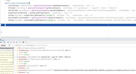 Springboot 启动参数及vm参数获取 Acaak 博客园