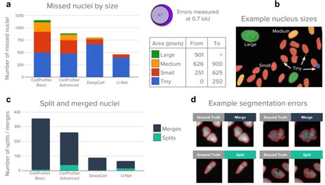 Analysis Of Segmentation Errors Missed Splits Merged Objects The