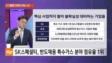 세계 1위 자회사 파는 Sk…알짜 사업 매각 나서는 대기업들
