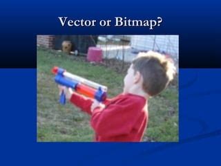 Vector Or Bitmap PPT