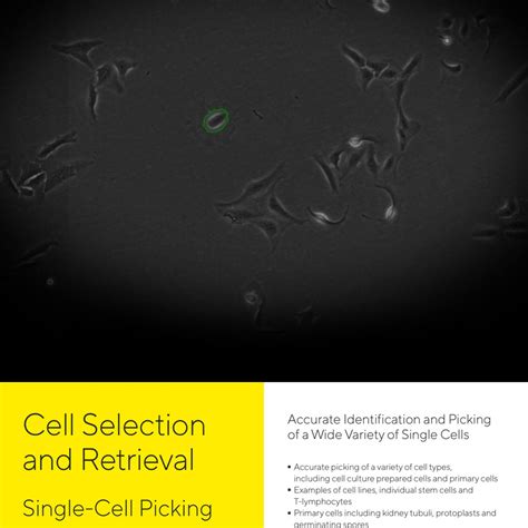 Single Cell Picking Technical Note Cell Selection And Retrieval
