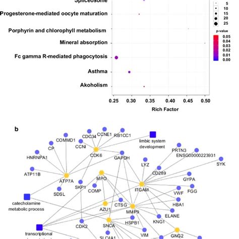 kegg pathway enrichment and ppi network analysis of differentially