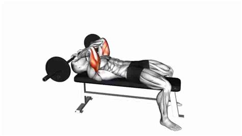 Barbell Lying Triceps Extension Skull Crusher Video Guide Lyfta