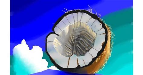 Drawing Of Coconut By Herbert Drawize Gallery