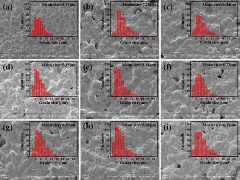 A I Sem Micrographs Of 03bnt 07pzt Ceramics Synthesized At