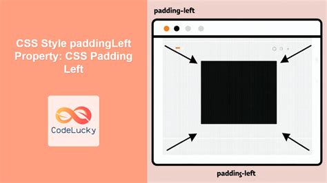 Css Paddingbottom Property Css Padding Bottom Codelucky