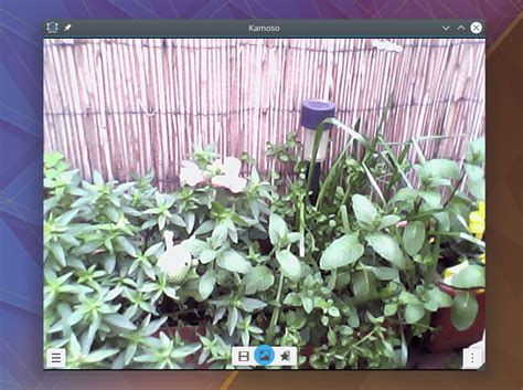 Los mejores programas de cámaras web para Ubuntu Linux Aprender Linux