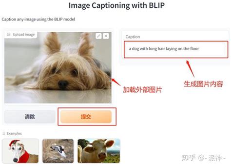 使用 Gradio 构建生成式 Ai 应用程序一 Image Captioning App 知乎