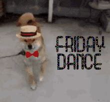 Happy Friday Animal Pictures S Tenor