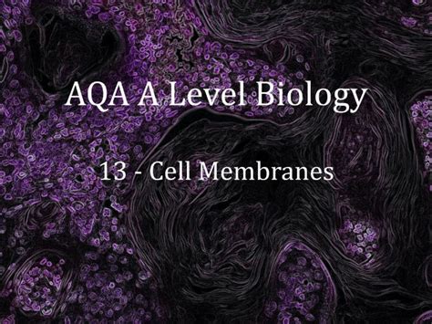 AQA A Level Biology Lecture Cell Membranes Teaching Resources