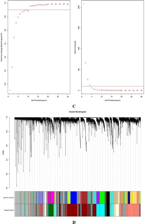 Aidgs Are Potential Biomarkers In Endometriosis Ijgm