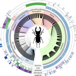 PDF Tree Of Sex A Database Of Sexual Systems