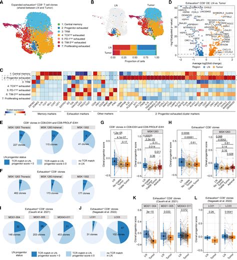 Lineage Tracing Reveals Clonal Progenitors And Long Term Persistence Of Tumor Specific T Cells