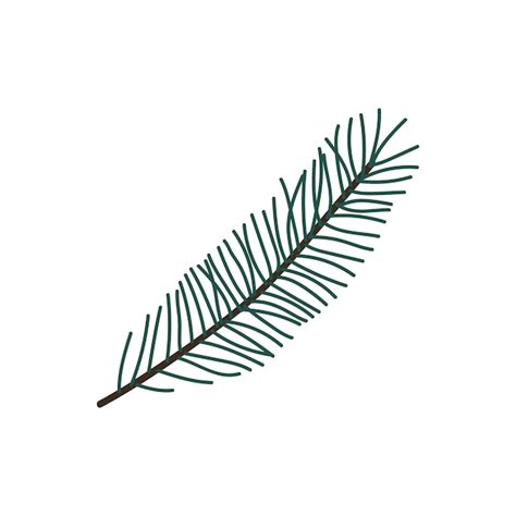 Premium Vector Hand Drawn Christmas Tree Branch Isolated On White