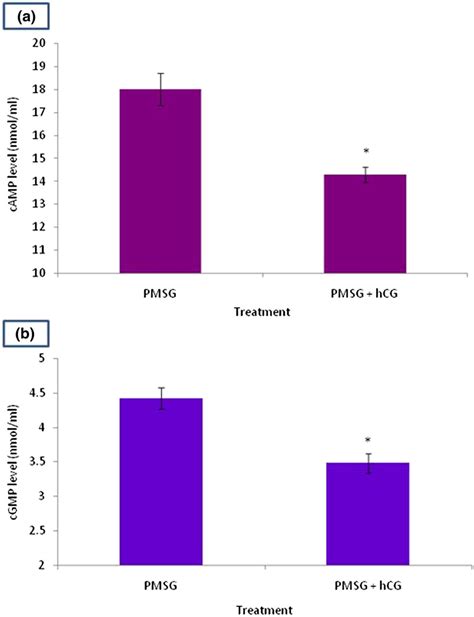 Effect Of Human Chorionic Gonadotrophin Hcg Treatment On 3′5′ Cyclic Download Scientific