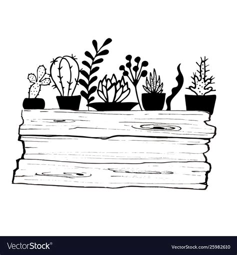Set Cactuses Hand Drawn Royalty Free Vector Image