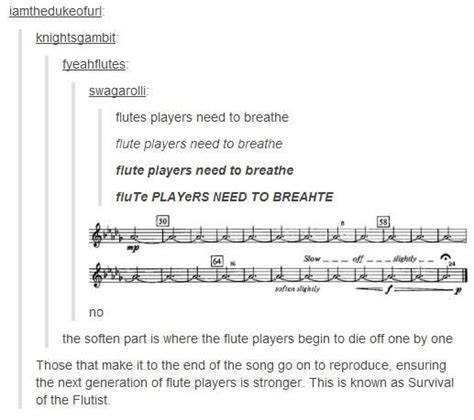 Flute Player Problems So True And When You Are One Of The Only Two People Playing Flute