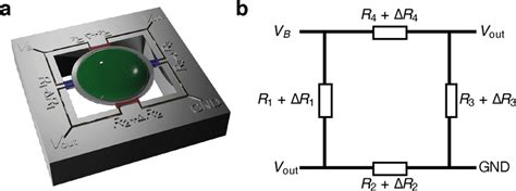 structure of the membrane type surface stress sensor mss a