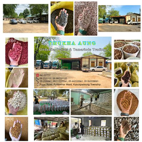 ပပရွှေရည် ကျေးဇူးပြုပြီးတင်ခွင့်ပြု ပါ Admin ယခုလို ကျန်းမာရေး စီးပ