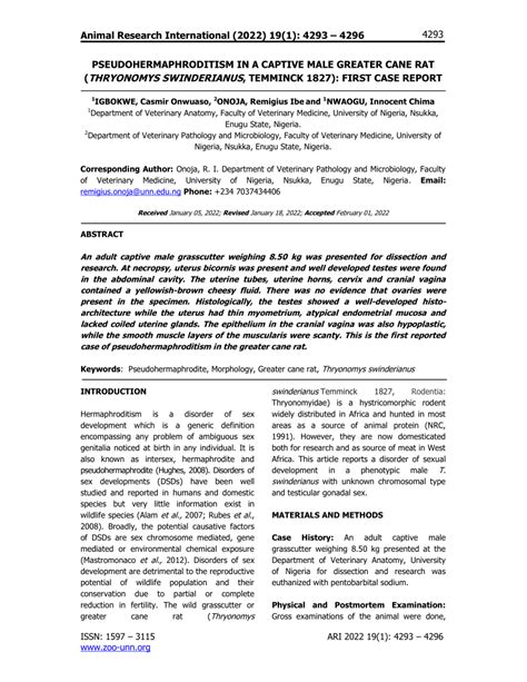 Pdf Pseudohermaphroditism In A Captive Male Greater Cane Rat Thryonomys Swinderianus