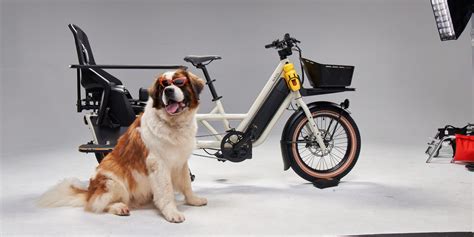 First Look Specializeds New Globe Haul Lt Best E Bikes 2023