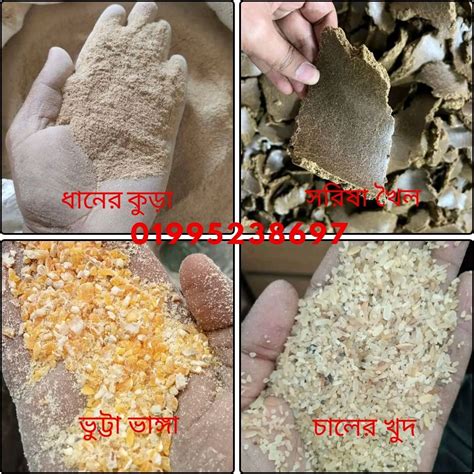 ভুট্টার বাজার অাপডেট 🌽 আমরা গরু ছাগল মুরগি মাছের ১৮ দেশি বিদেশী খাদ্য সমূহ পাইক