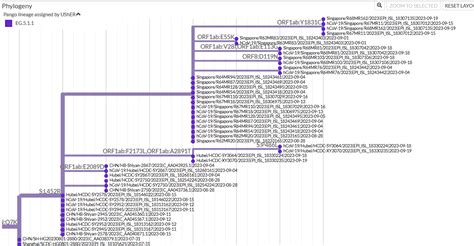 Eg511nq7ksl452r20 Seqs 2 Countries · Issue 2307 · Cov Lineagespango Designation · Github