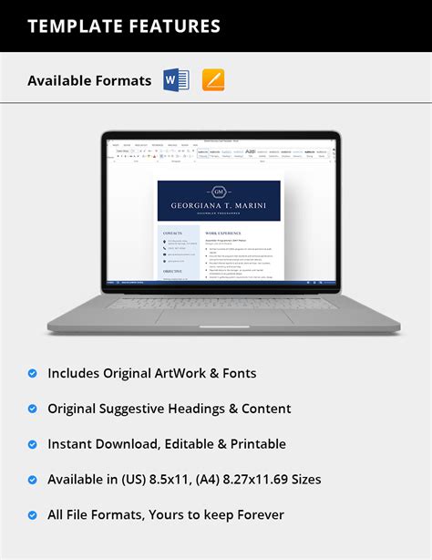Assembler Programmer Resume In Word Pages Download