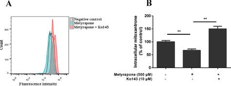 Bcrp Transport Activity In Chicken Primary Hepatocytes Exposed To The Download Scientific