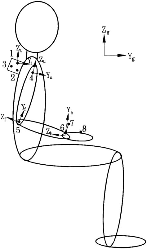Marker Positions And Coordinate Systems See Text For A Description Of Download Scientific