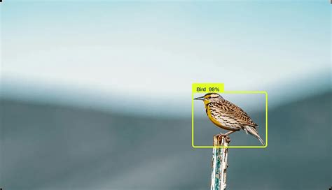 计算机视觉与图像处理:主要区别 计算机视觉与图像处理:主要区别