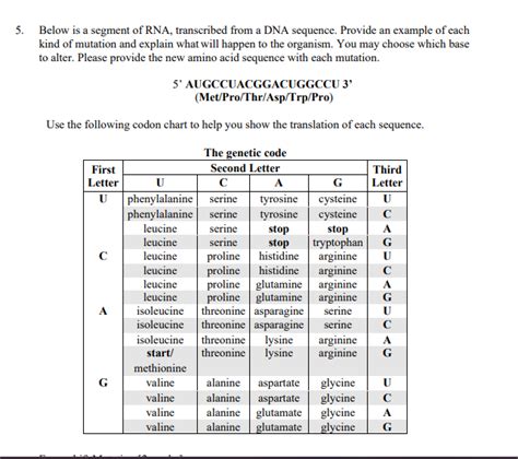 solved 5 below is a segment of rna transcribed from a dna
