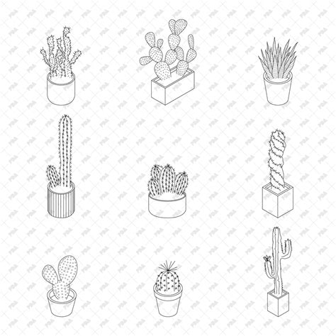 Cad، Vector، Png صبار متساوي القياس في أحواض الزراعة