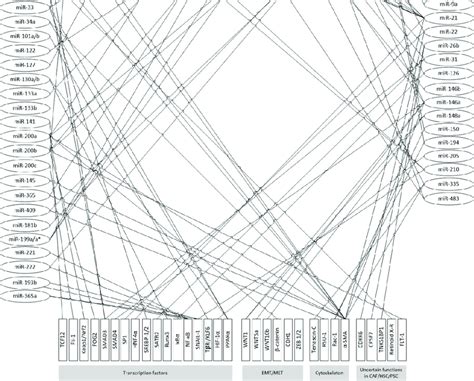 Currently Known Mir Target Structures In Cafhscpsc Targets Are
