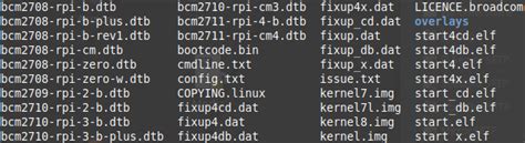 How To Set Up And Get Started With The Raspberry Pi Print In D