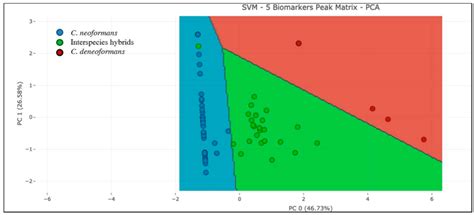 Implementation Of Maldi Tof Mass Spectrometry And Peak Analysis