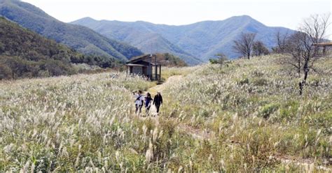밀양시 아름다운 자연 보며 사시사철 밀양 트레일 도보여행