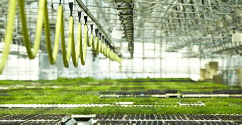 Coding And Agriculture Interesting Agritech Projects